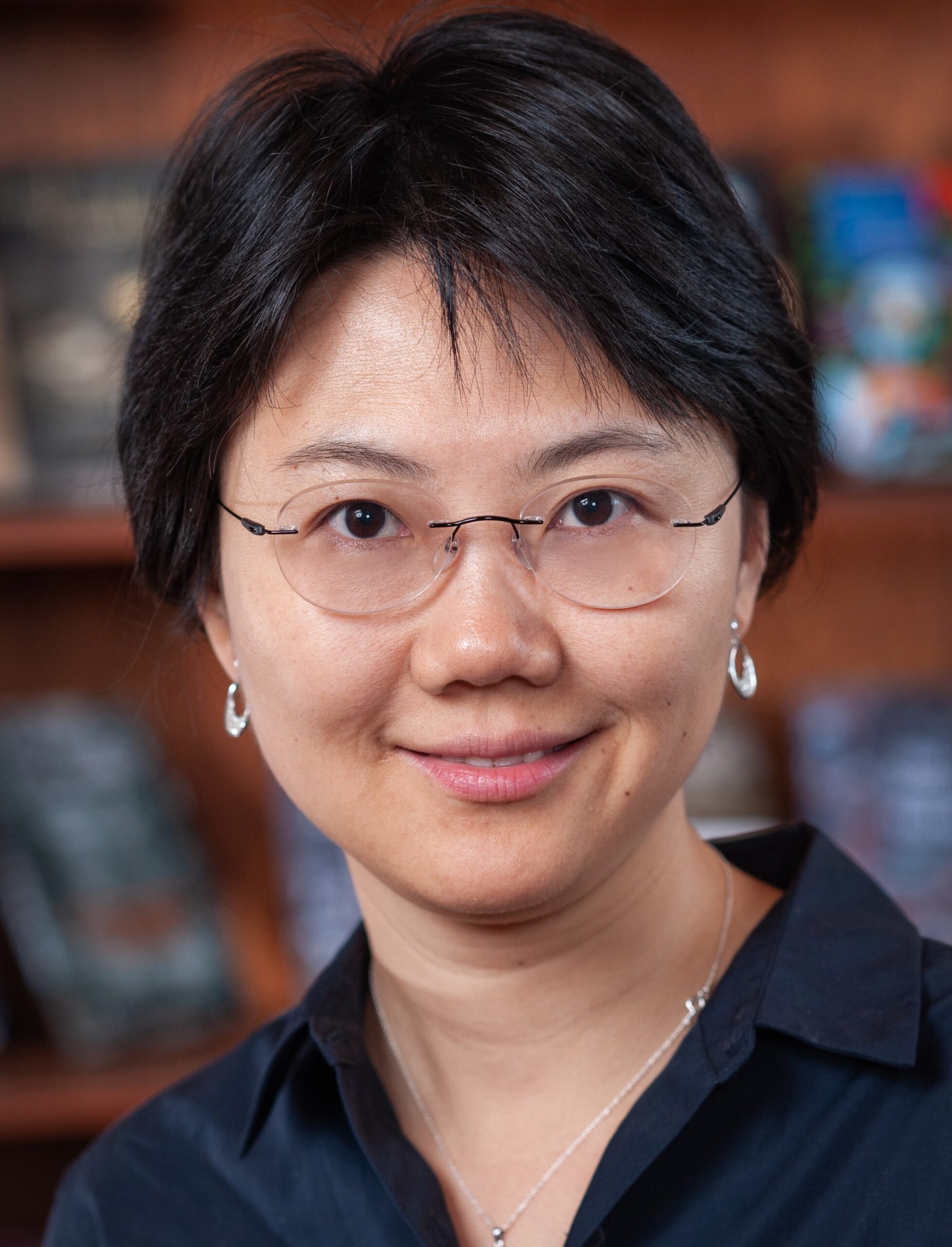 Ambitious and Anxious: How Chinese College Students Succeed and ...